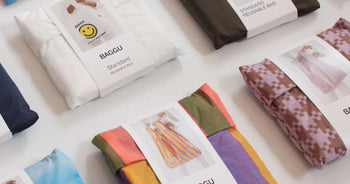 Everything You Need to Know About Baggu Bags – post.script.