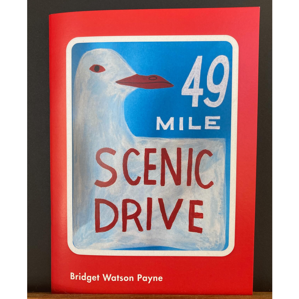 Bridget Watson Payne - 49 Mile Scenic Drive Zine – post.script.